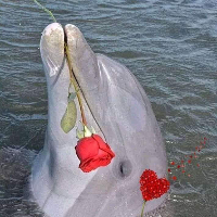 Az első ómen (2024The First, horror, misztikus, szinkronos - Videa