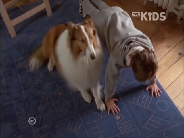 Lassie_1997. 01x15, film/animáció - Videa