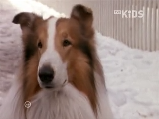 Lassie_1997. 01x17, film/animáció - Videa