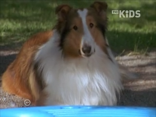 Lassie_1997. 03x09, film/animáció - Videa