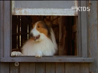 Lassie_1997. 03x13_éz, film/animáció - Videa