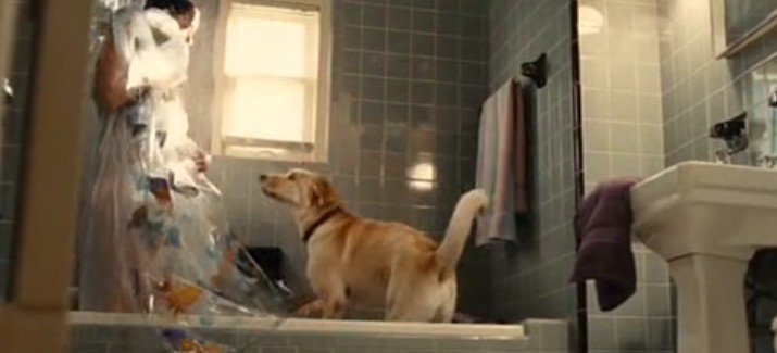 Marley meg én, filmlovas, mpi - Videa