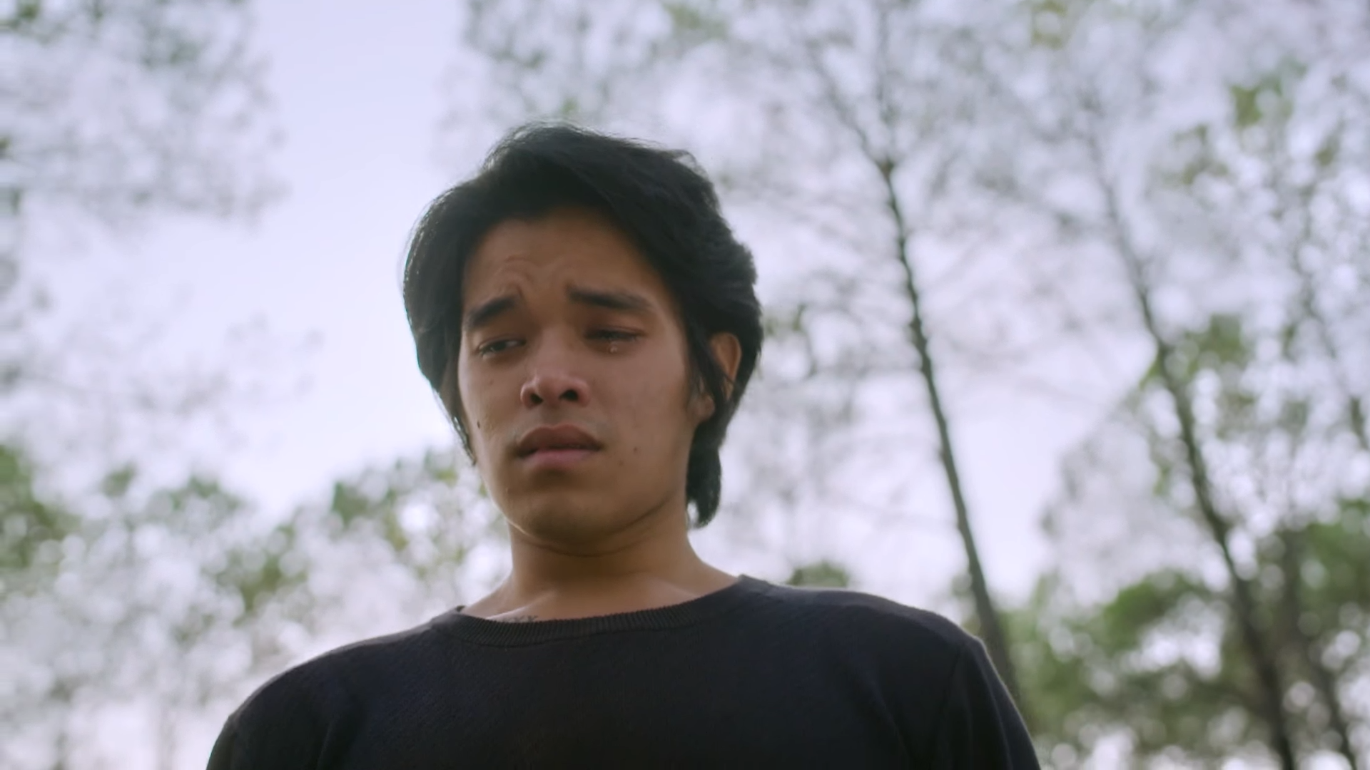 Zokogó Erdő | Crying Forest, aung min khant, crying forest, erdő - Videa