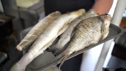 A tökéletes sült hal, balaton, hekk, pisztráng - Videa