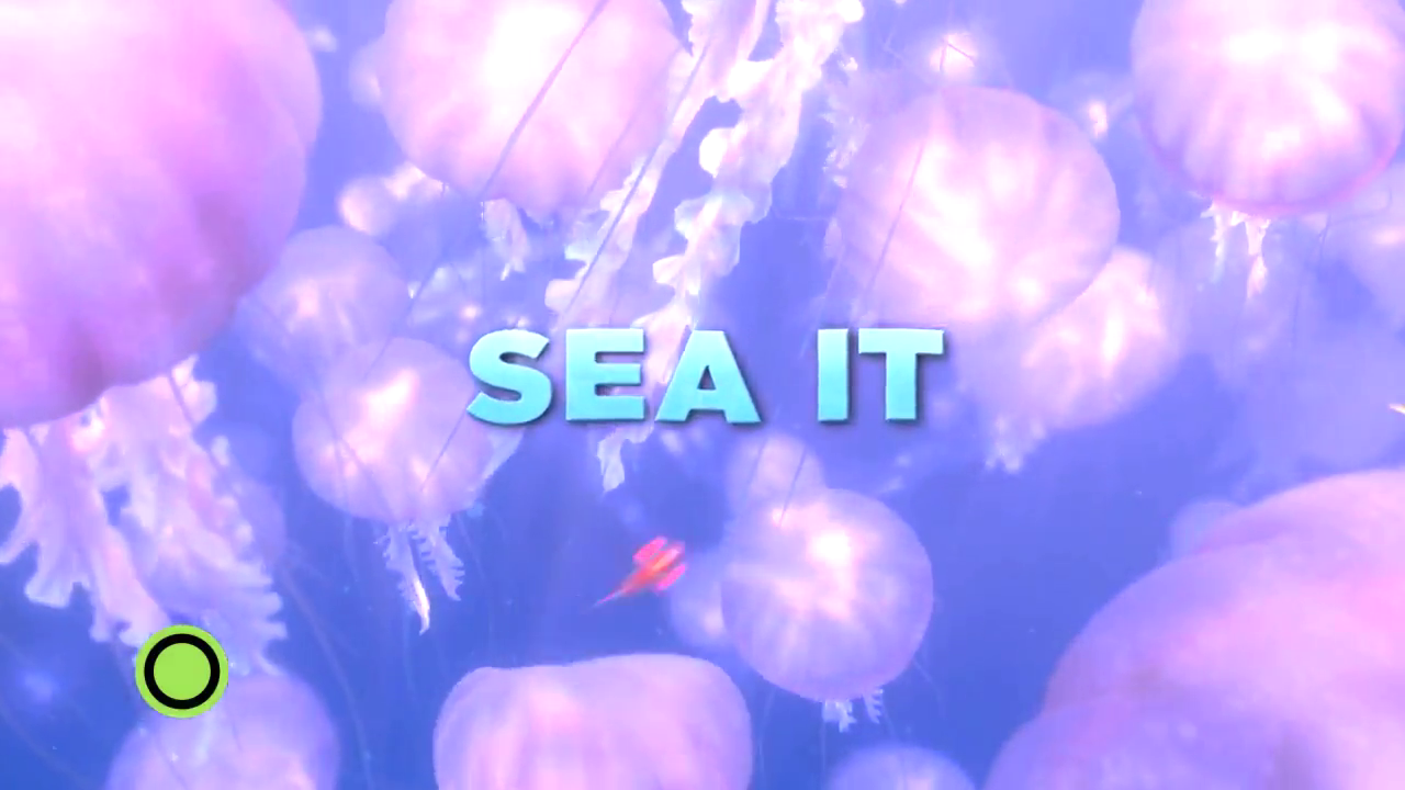 Némó nyomában 3D (KN) -, film/animáció - Videa