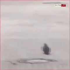 Pigeon Salutes Putin ORIGINAL.3gp, film/animáció - Videa