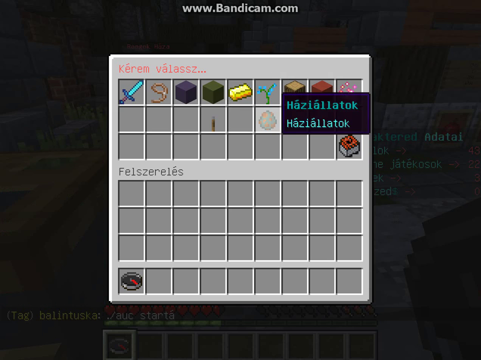 Zsdav adventures: A kokocraft szerver, film/animáció - Videa