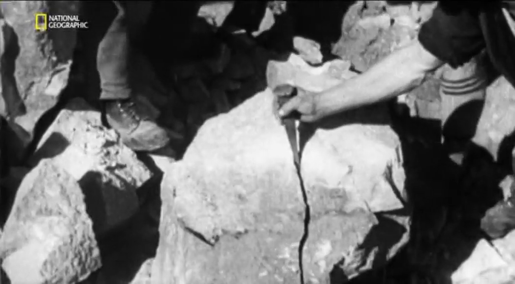 Sasfészek, film/animáció - Videa