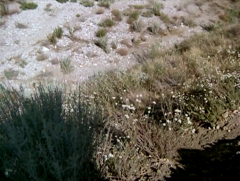 watch-53102-The-California-Kid.mp4 - Videa