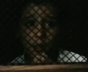 Bronxi Mese, film/animáció - Videa