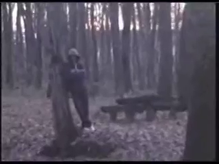 Impavidus-BETA, impavidus - Videa