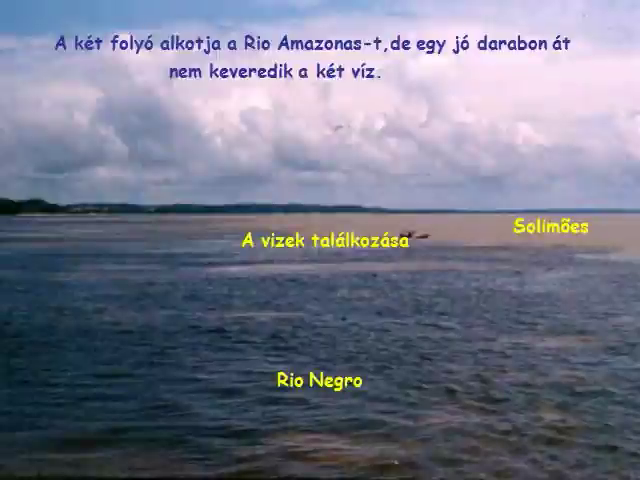 Amazonasz, amazonasz - Videa