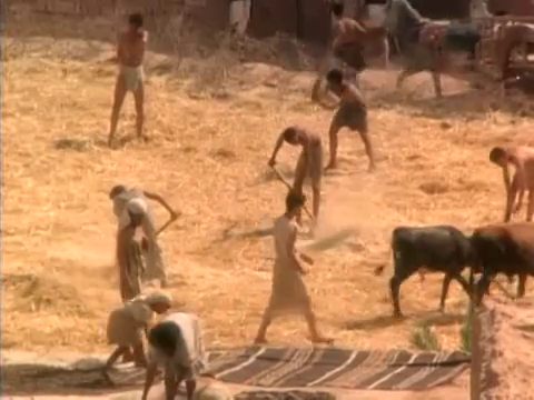 The Bible Collection Joseph 1995, józsef - Videa