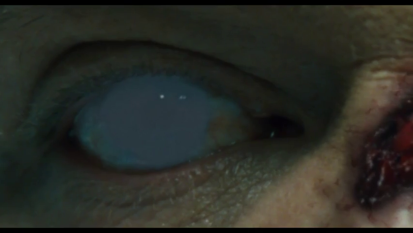 Holtak napja 2008 HD Teljes, 86 perc, amerikai horror - Videa