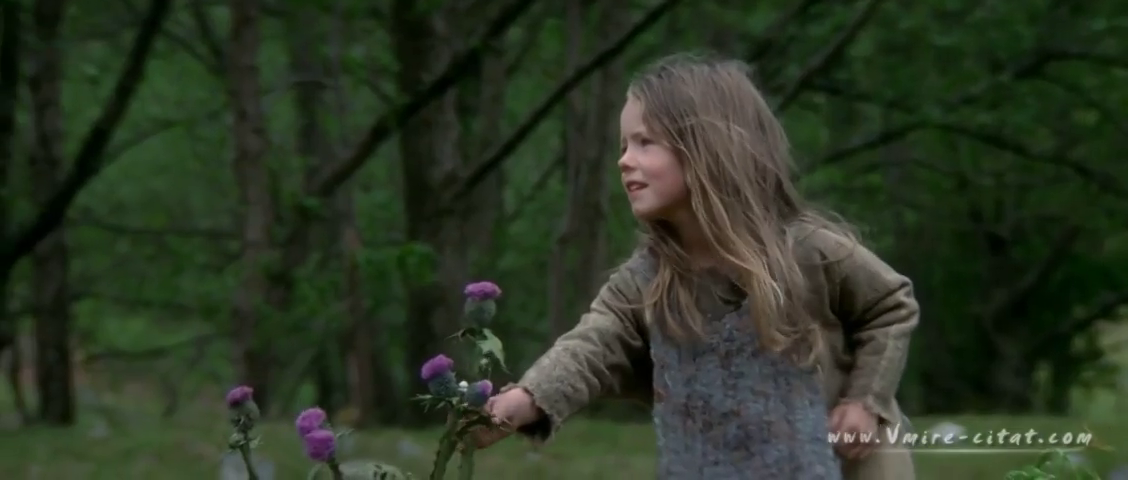 Braveheart - Thistle Flower, braveheart, flower, thistle - Videa