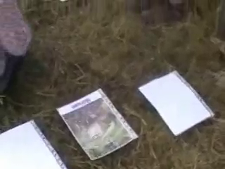 Madarak fák napja, film/animáció - Videa