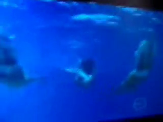 H2O Sellő lányok, filmrészlet, rajzfilm - Videa