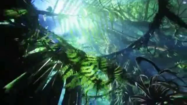 Avatar - Pandora Discovered, avatar, james cameron, kiss balázs - Videa