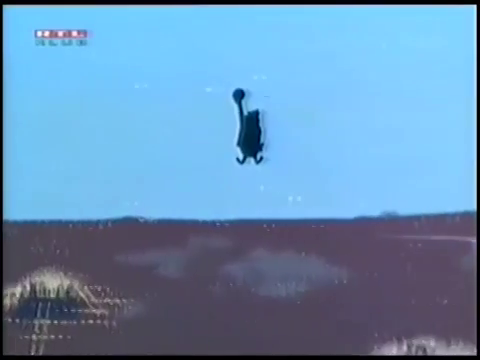 Foxi Maxi 1.,, film/animáció - Videa