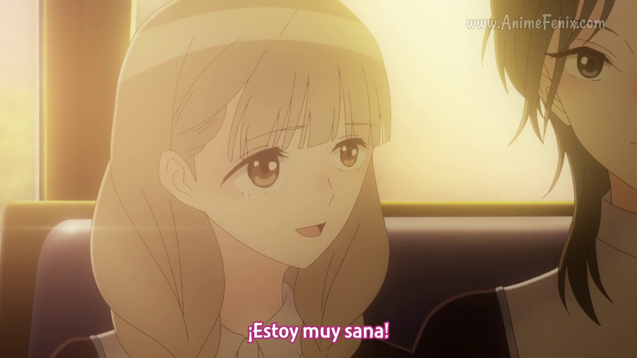 Reflection 13.mp4, film/animáció - Videa