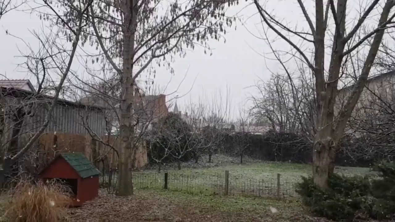 Két ünnep közöttre érkezett meg, film/animáció - Videa