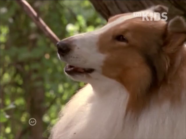 Lassie_1997. 01x03, film/animáció - Videa