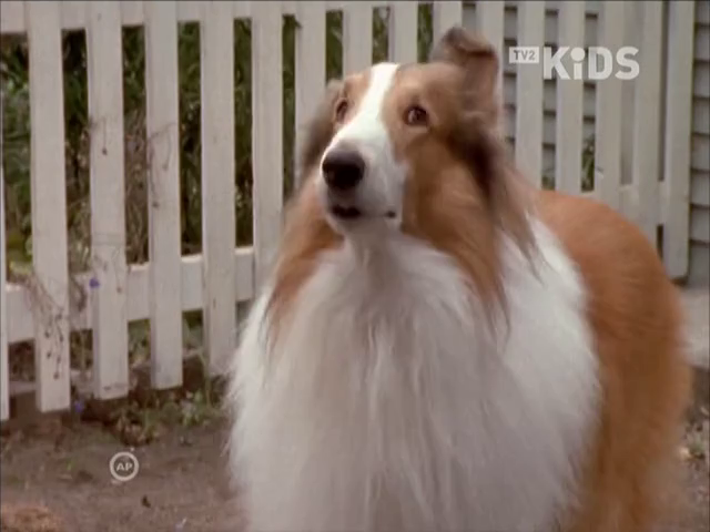 Lassie_1997. 01x09, film/animáció - Videa