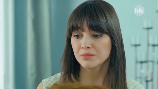 Ed29, film/animáció - Videa