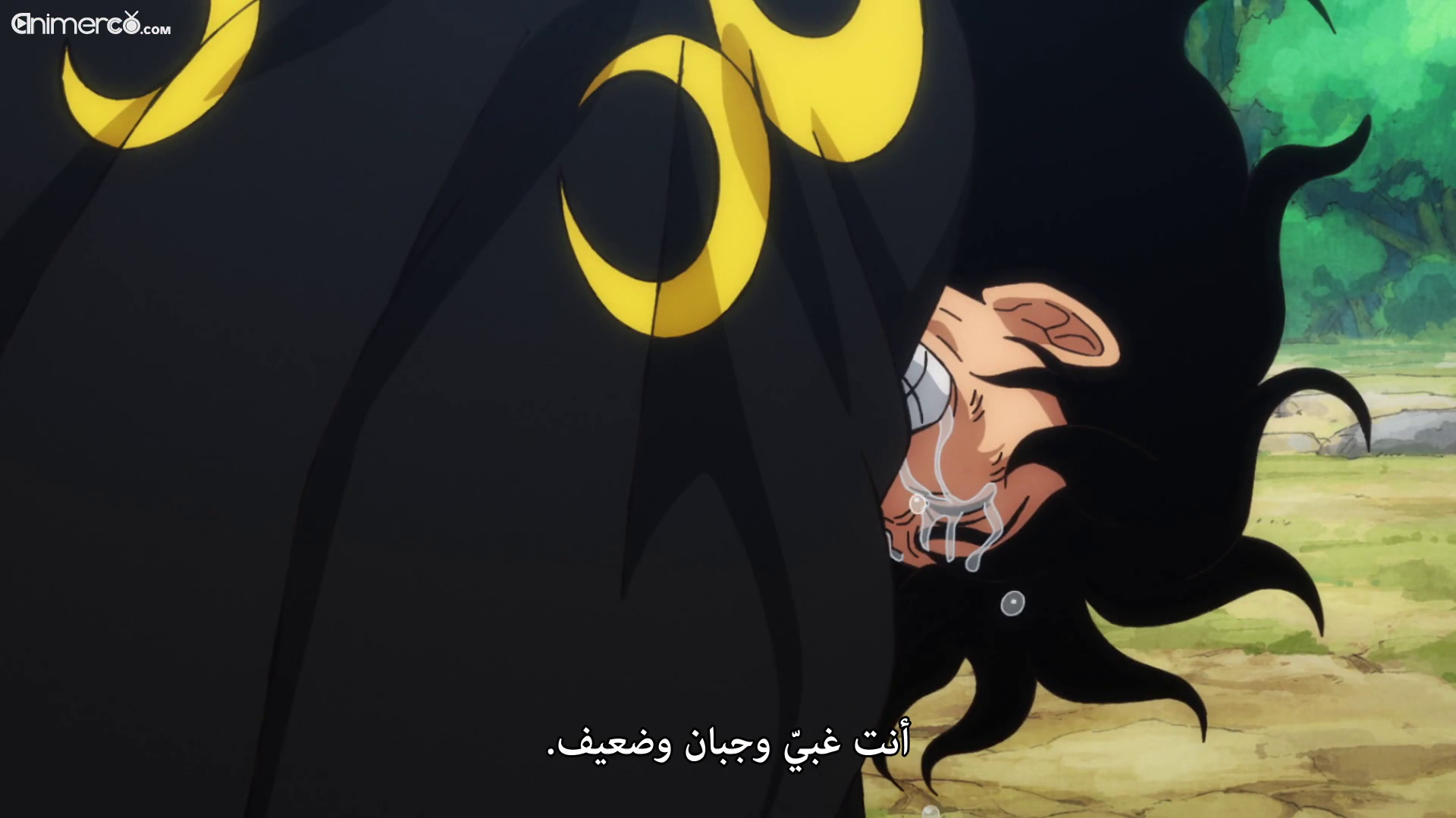 [Animerco com] OP - 1085, film/animáció - Videa