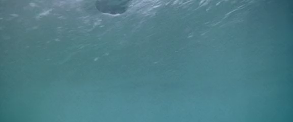 Angyalok várs, dráma, fantasy, romantikus - Videa