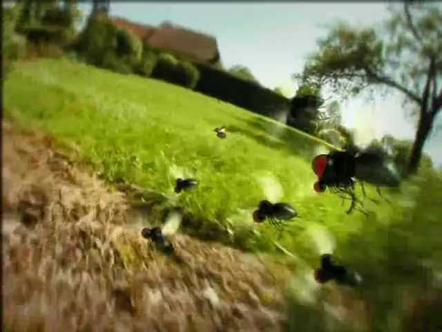 Csodabogarak - 01 A katica, animációs, mese - Videa