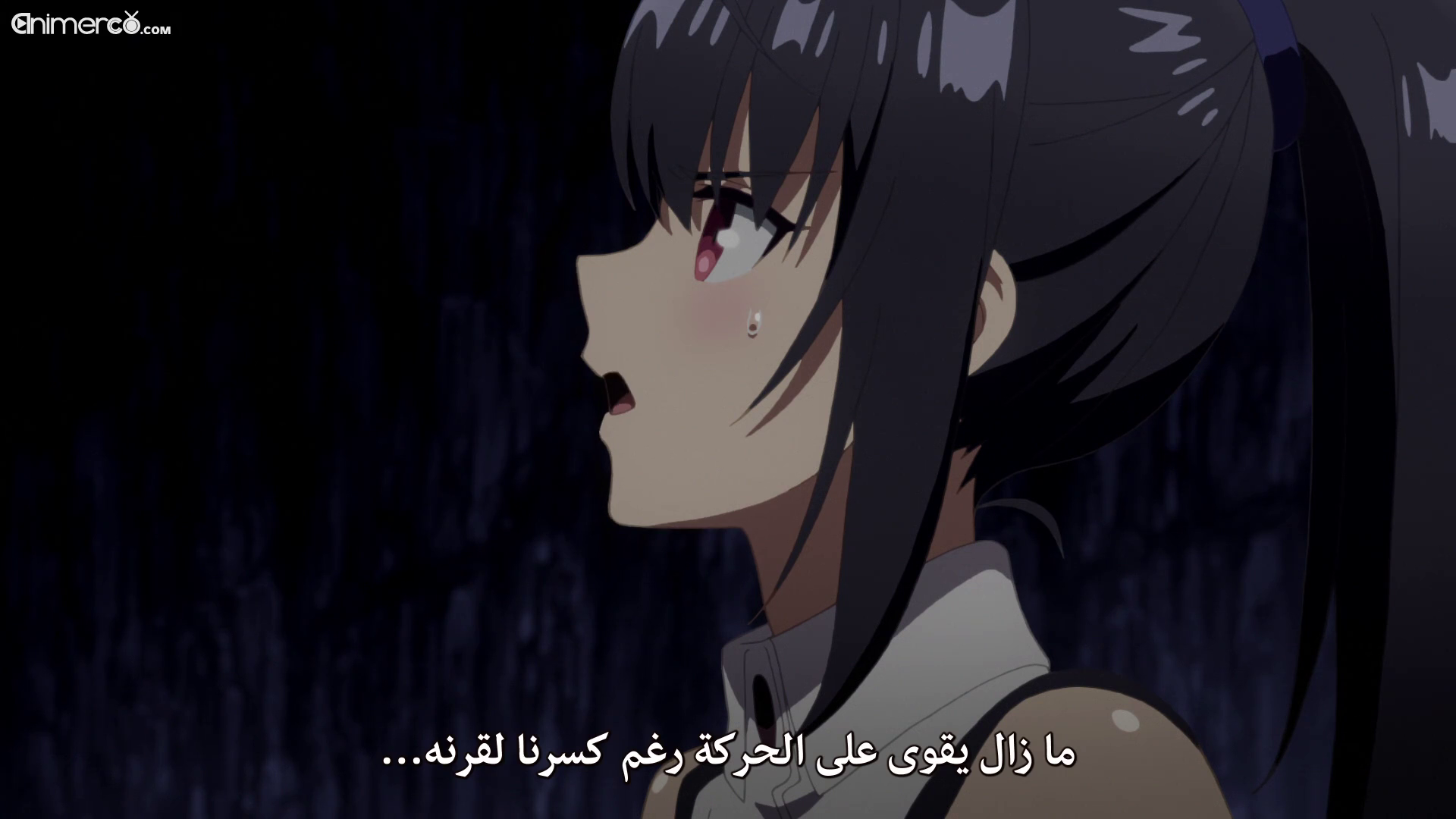 [Animerco com] ASDSS - 05 - Videa