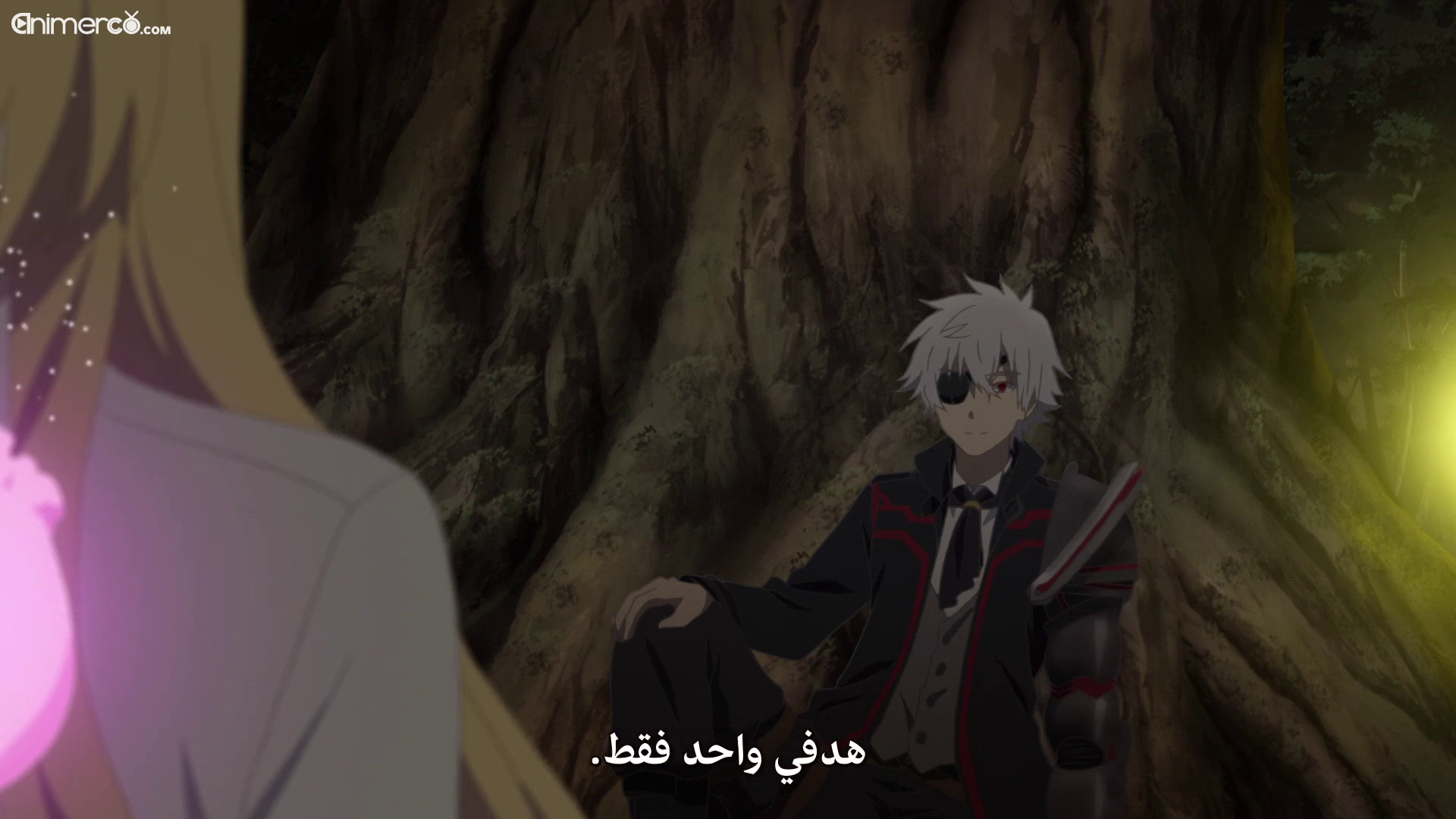 [Animerco com] ASDSS - 06 - Videa