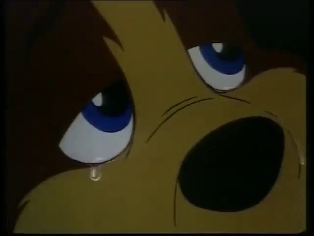 Bobi e Seus Amigos (1995) - Videa