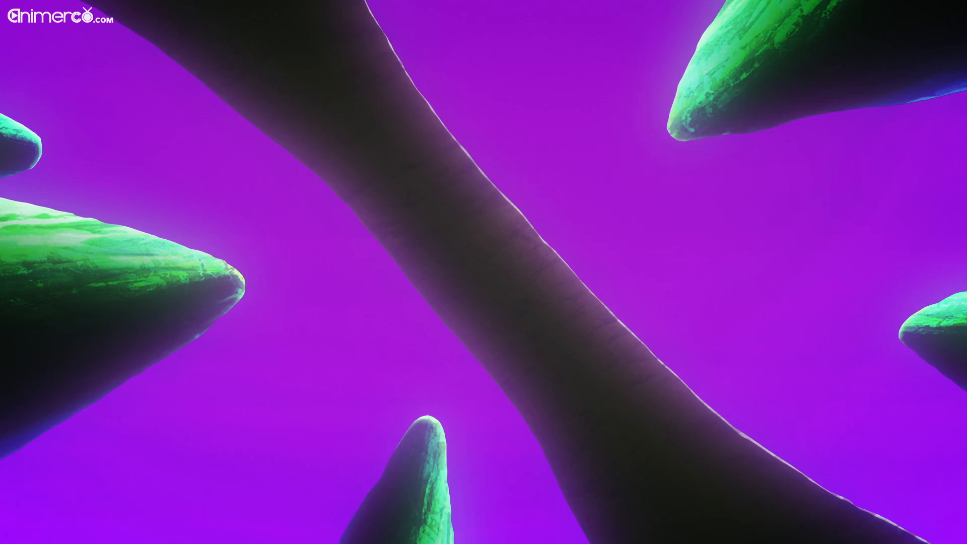 [Animerco com] SY S2 - - Videa