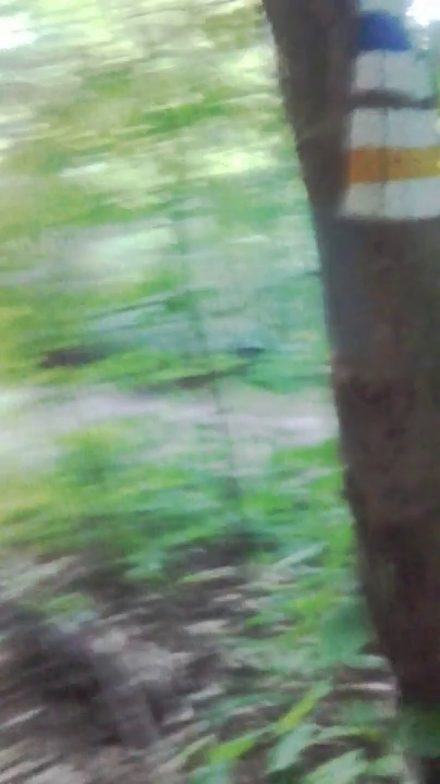 ggghhh, kreatív - Videa