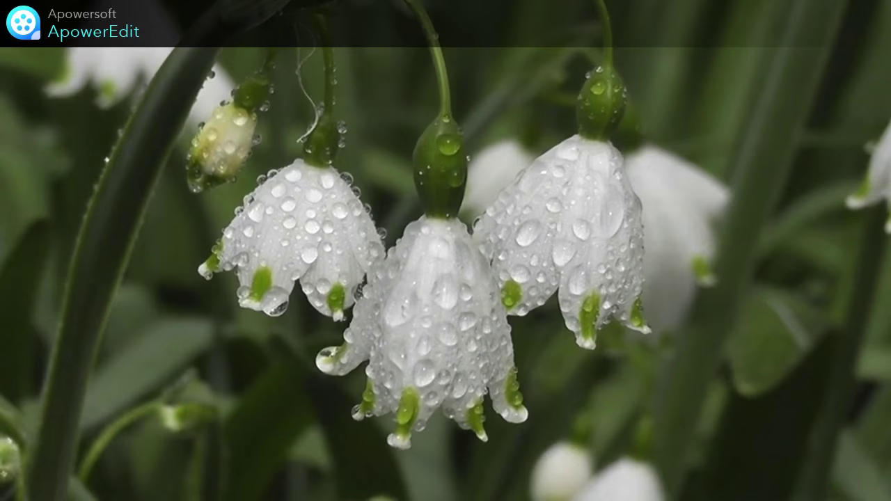 Földes Olga - Leltár, földes, leltár, olga - Videa