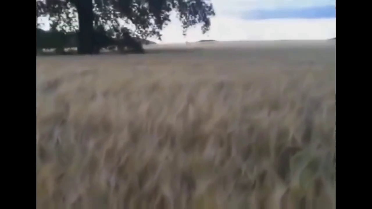 The Rake (El Rastrillo) Rara, el rastrillo, the rake - Videa