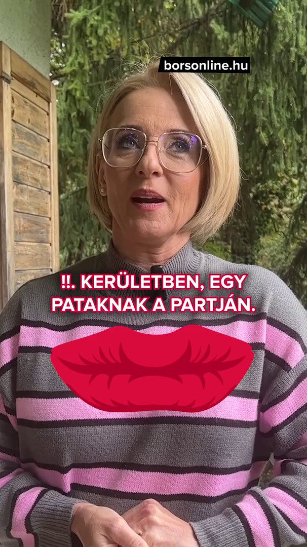 Marsi Anikóék házassági titkai, bors, gyarmati gábor, házassági ...