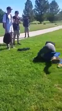 One on one hair pulling, catfight, girls, hairpulling - Videa