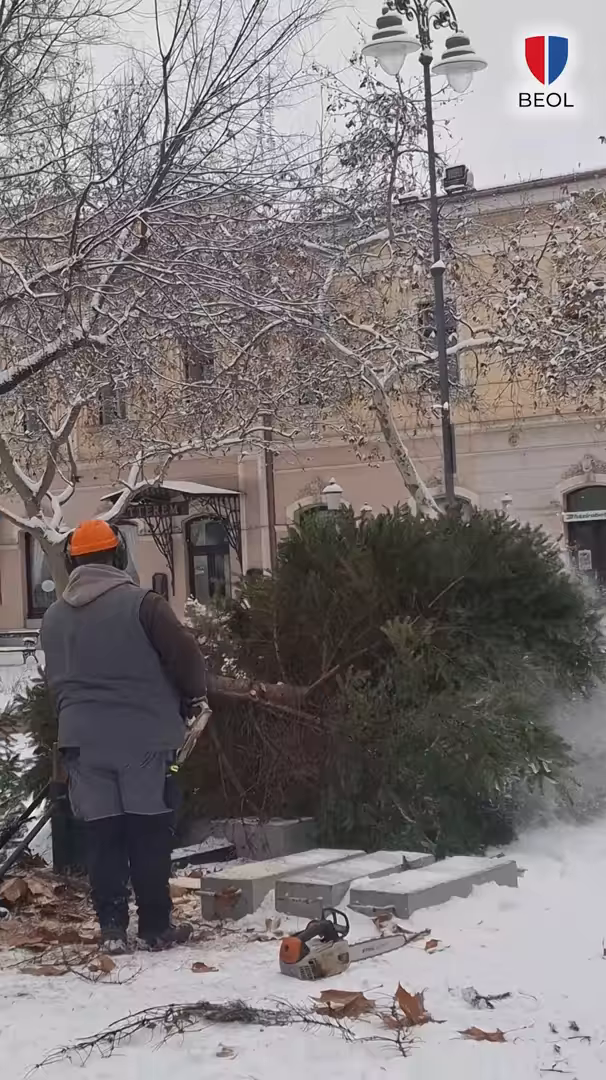 Eltűnt a Békéscsabai főtér dísze, békéscsaba - Videa