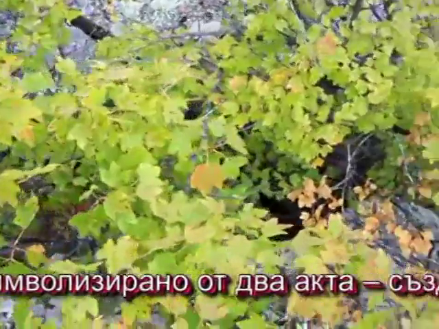 101 - RDP s.SIT SHTUT, vicces - Videa