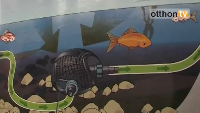 Vizi látványkonyhák, hal, kert, növény - Videa