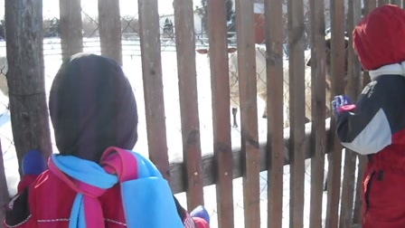 3096 Nap 720p.mkv, krimi - Videa